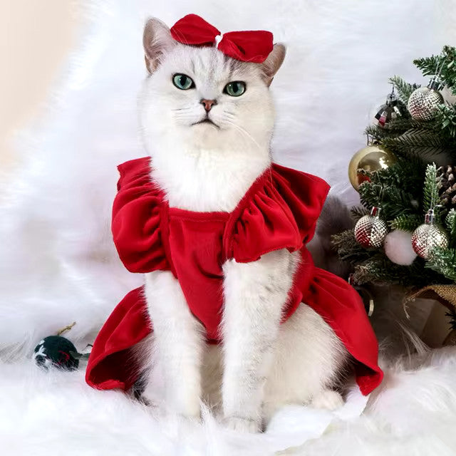 Robe pour Chat | La Truffe Pimpante